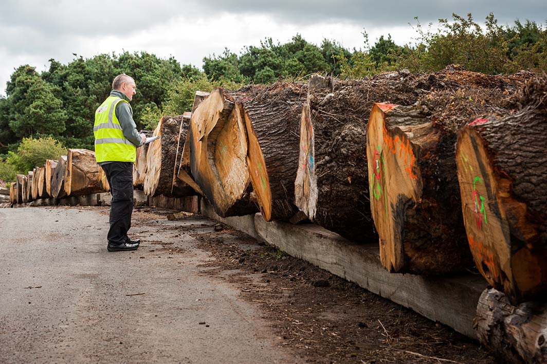 Hardwoods & Specialist Timber – A&J Scott Ltd